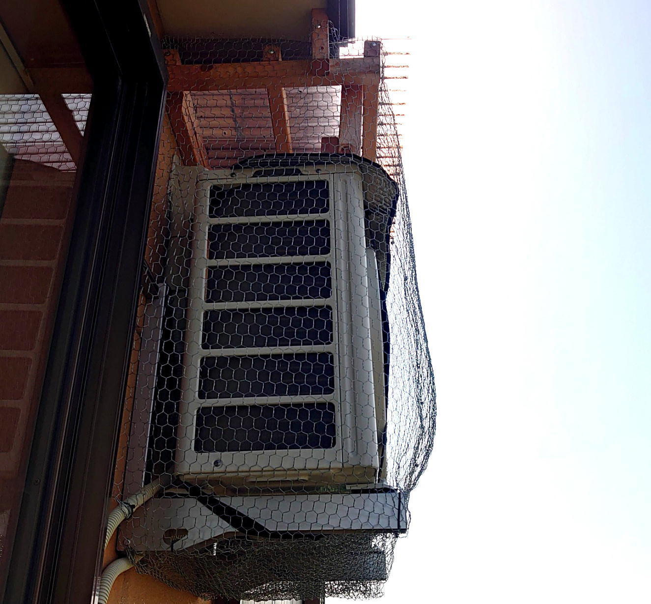 鳥害対策: ちょろパパ、日々のあれこれ